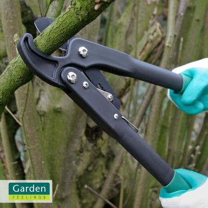 Die Aldi Garden Feelings Astschere im Überblick bei etest.de